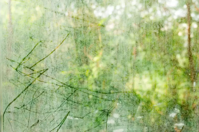 How Can You Prevent Dirt From Coming Through Your Home Windows ...